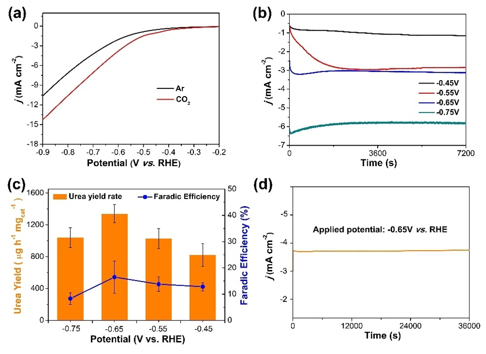 中国科学院合肥物质科学研究院