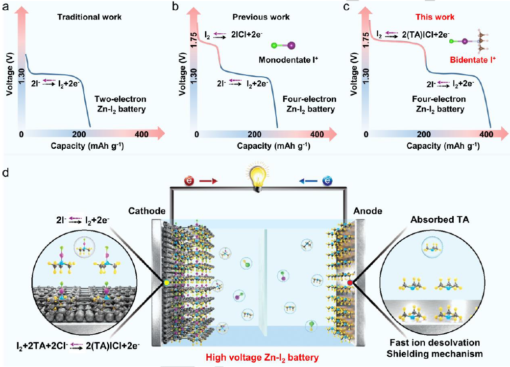 科学岛团队构筑高电位高利用率水系Zn-I2电池----中国科学院合肥物质科学研究院